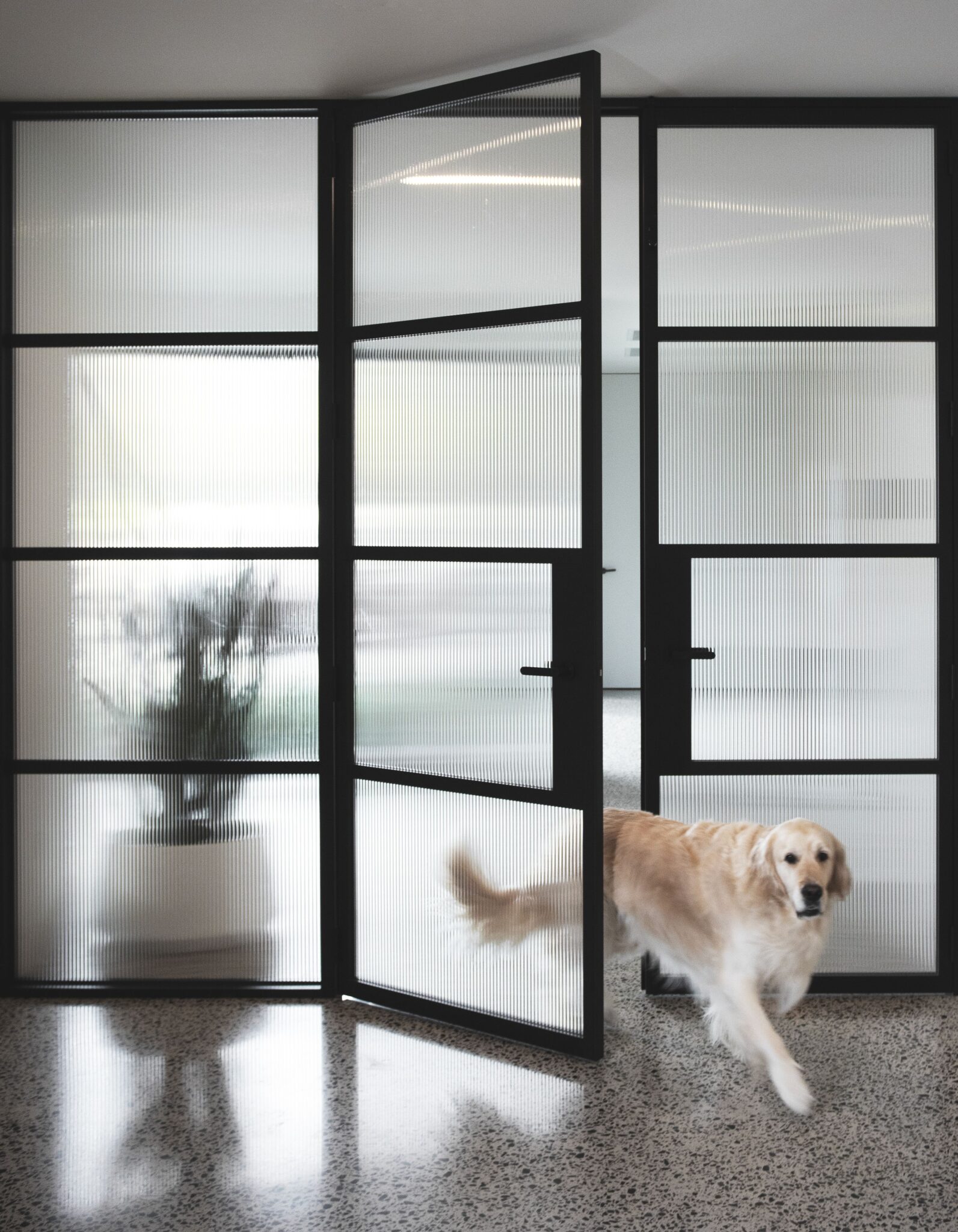 Gallery - Leef Doors